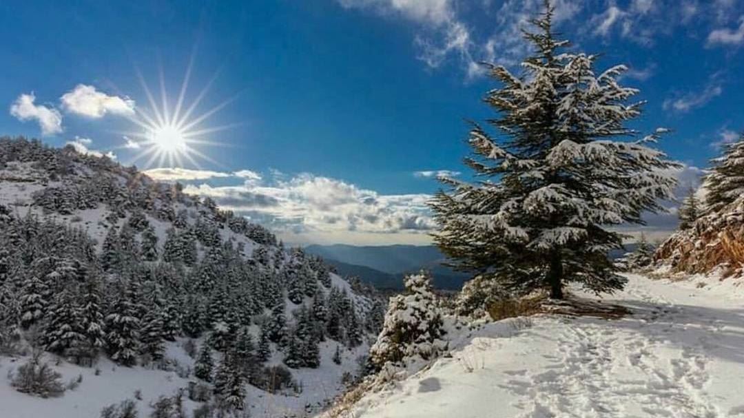 Amazing Snapshots of Winter in Lebanon | Daleeeel.com