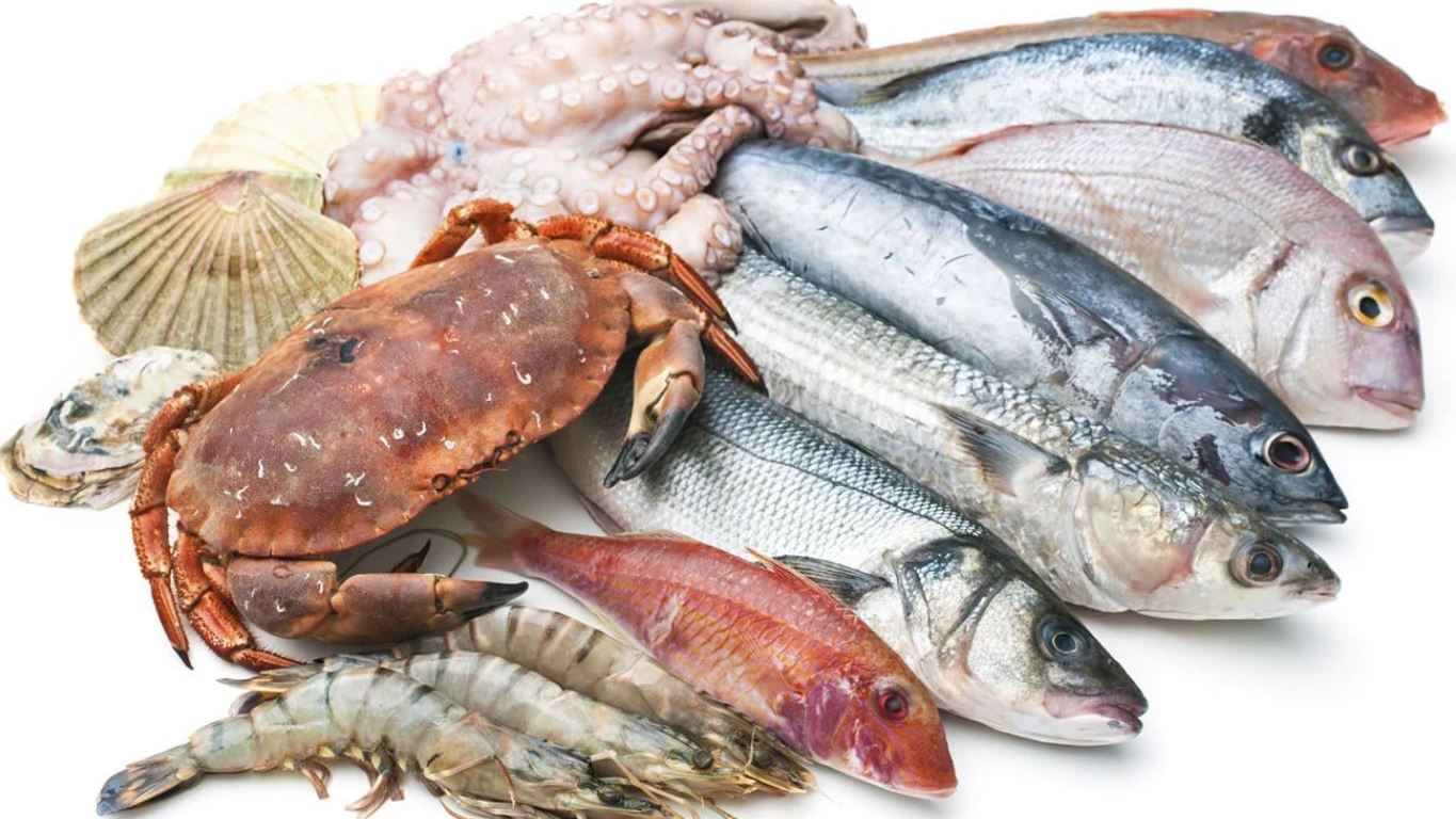 أنواع الأسماك والمأكولات البحرية بالصور والأسماء | Daleeeel.com