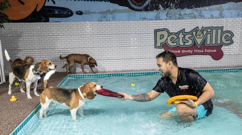 Petsville Aqua Pawk: The Middle East’s First-Ever Water Park to Open in ...