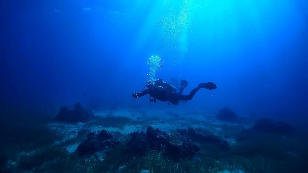 Best Time of the Year to Dive in Maldives | Daleeeel.com