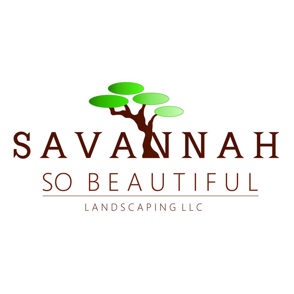 Savannah So Beautiful Landscaping - Warsan 3 - Dubai, UAE | Daleeeel.com