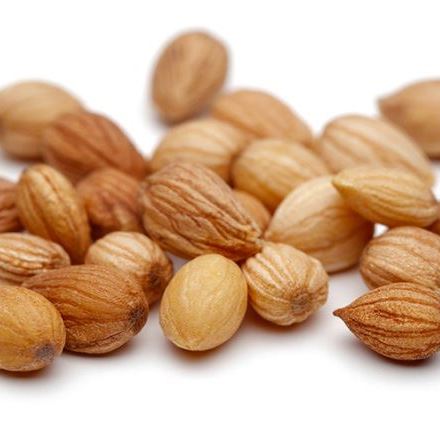 Mahleb | Daleeeel.com